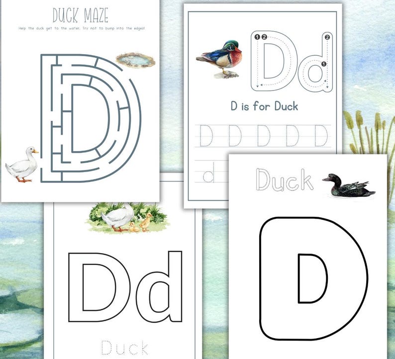 Ducks Unit Study: Life Cycle, Anatomy, Activities (homeschool Printable ...