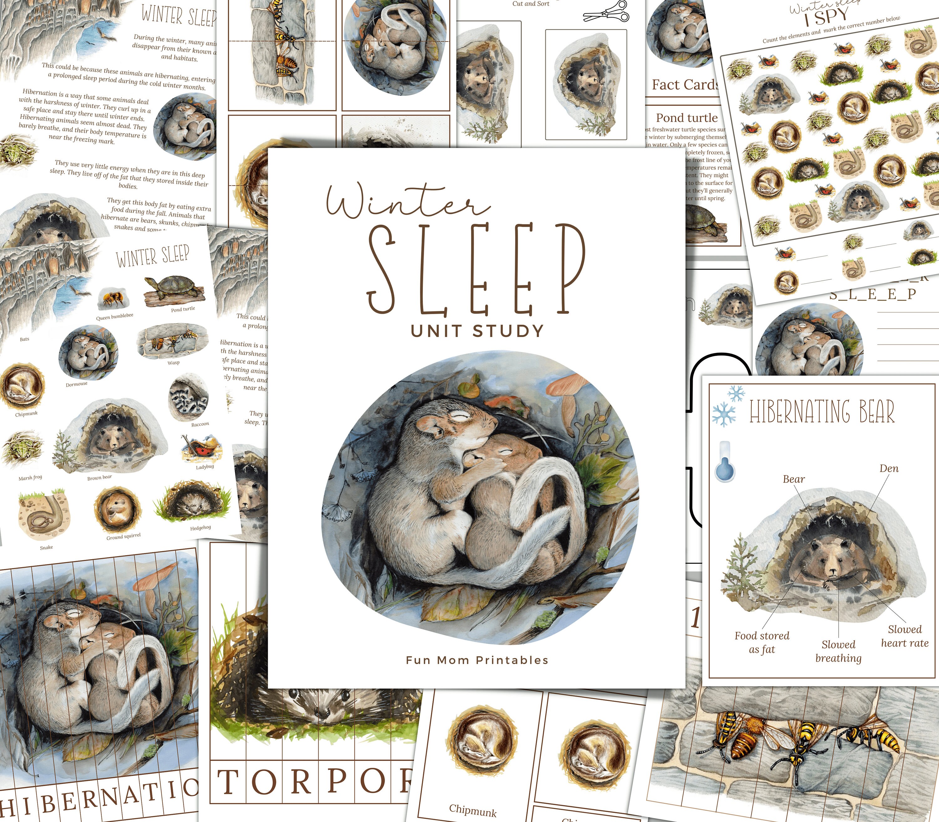 Winter Nature Unit Study Bundle: Forest Animals, Birds, Conifers ...