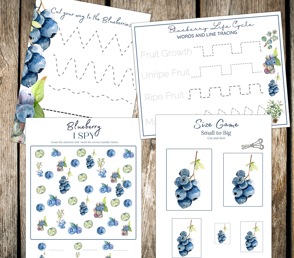 BLUEBERRY Unit Study Life Cycle Anatomy Nature Study | Etsy UK