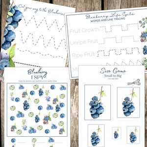 BLUEBERRY Unit Study Life Cycle Anatomy Nature Study - Etsy