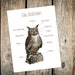 OWL Anatomy, Poster and Labeling Activity, Homeschool, Instant DOWNLOAD ...