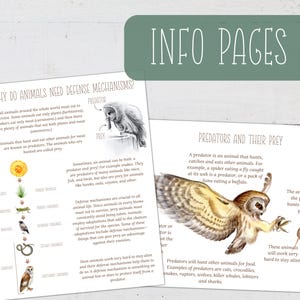 BEHAVIORS in NATURE BUNDLE (symbiosis, Animal Defenses, Animals at ...