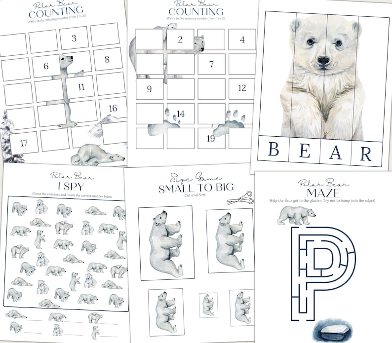 POLAR Bear Unit Study Life Cycle Anatomy Nature Study - Etsy