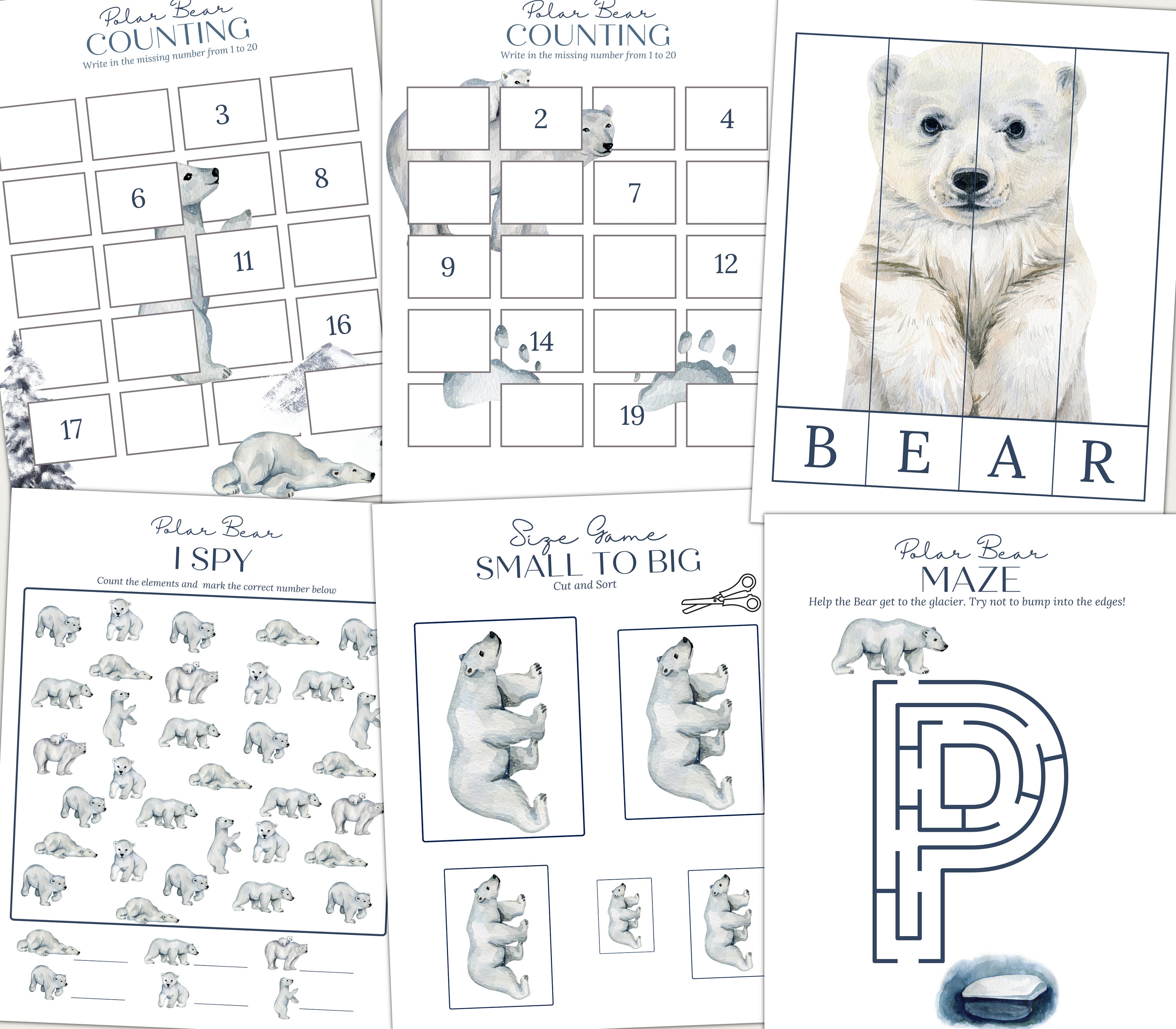 Polar Bear Unit Study: Life Cycle, Anatomy, Homeschool Printable ...