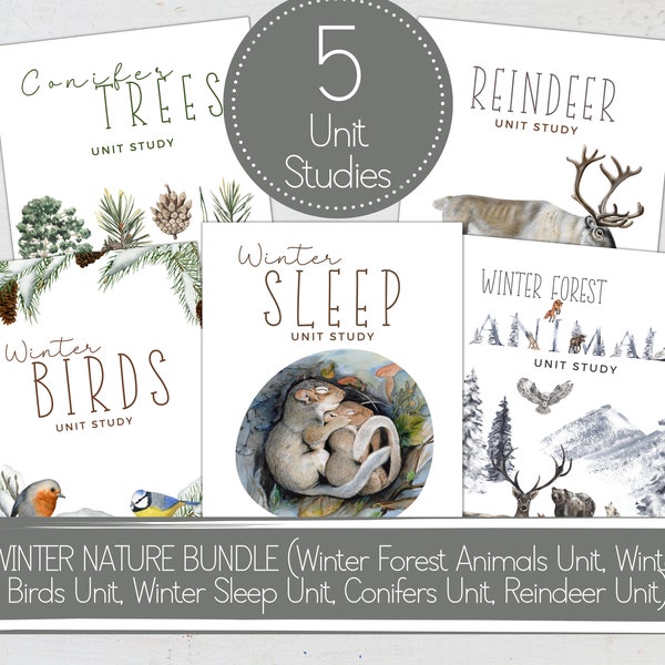 Winter Birds - Etsy