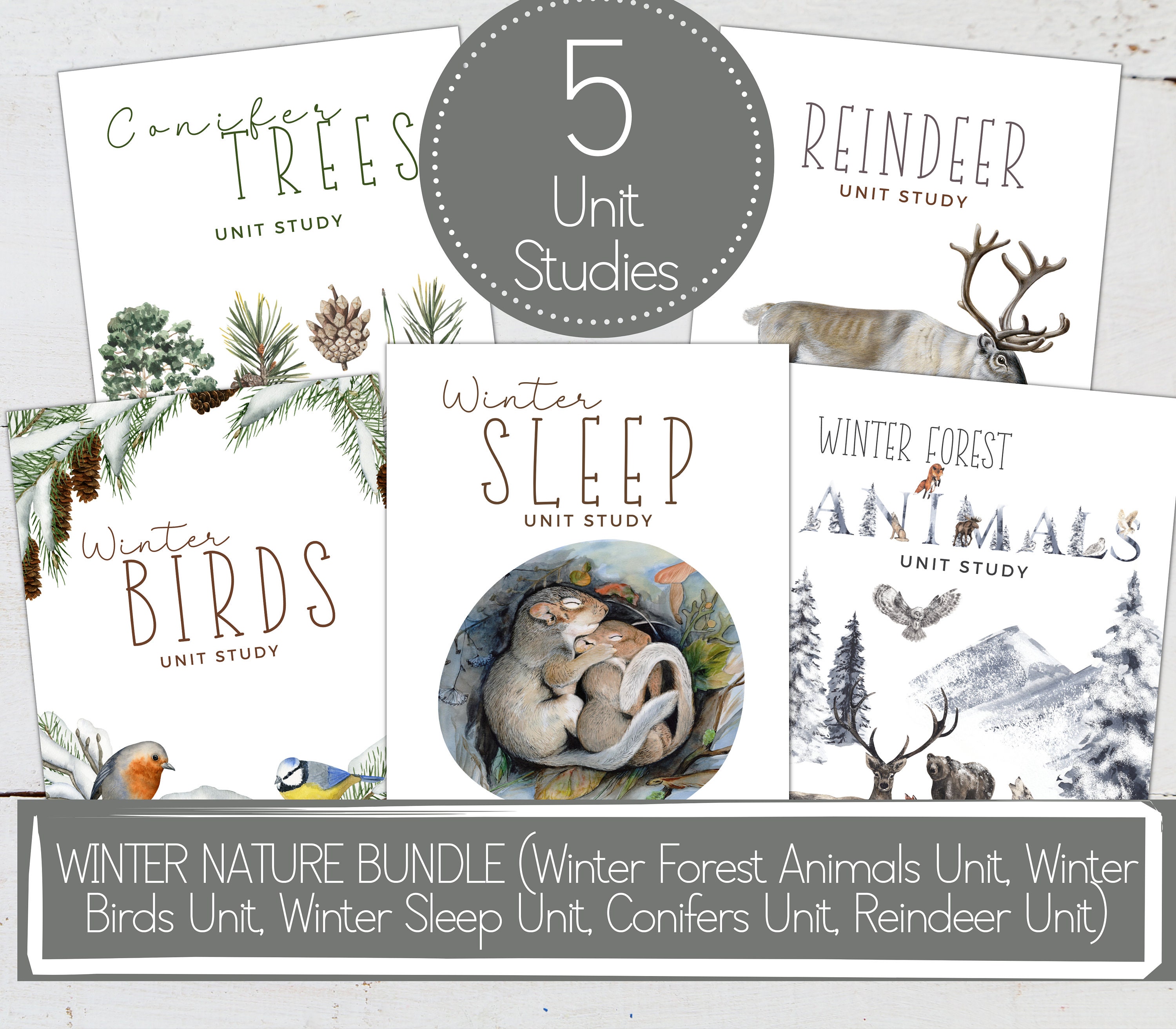 Winter Nature Unit Study Bundle: Forest Animals, Birds, Conifers ...
