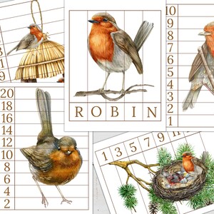 EUROPEAN ROBIN Unit Study, Life Cycle, Anatomy, Nature Study, Science ...