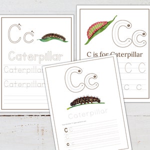 Letter C Caterpillar Activities: Alphabet Learning Printable (digital ...
