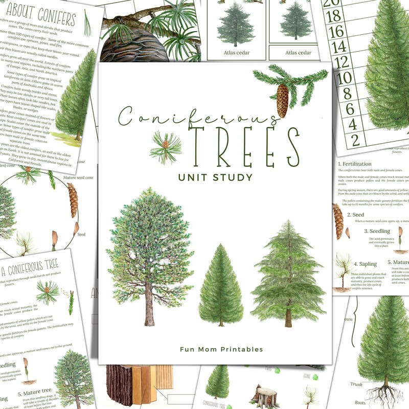 Preschool Tree Unit Study - Etsy