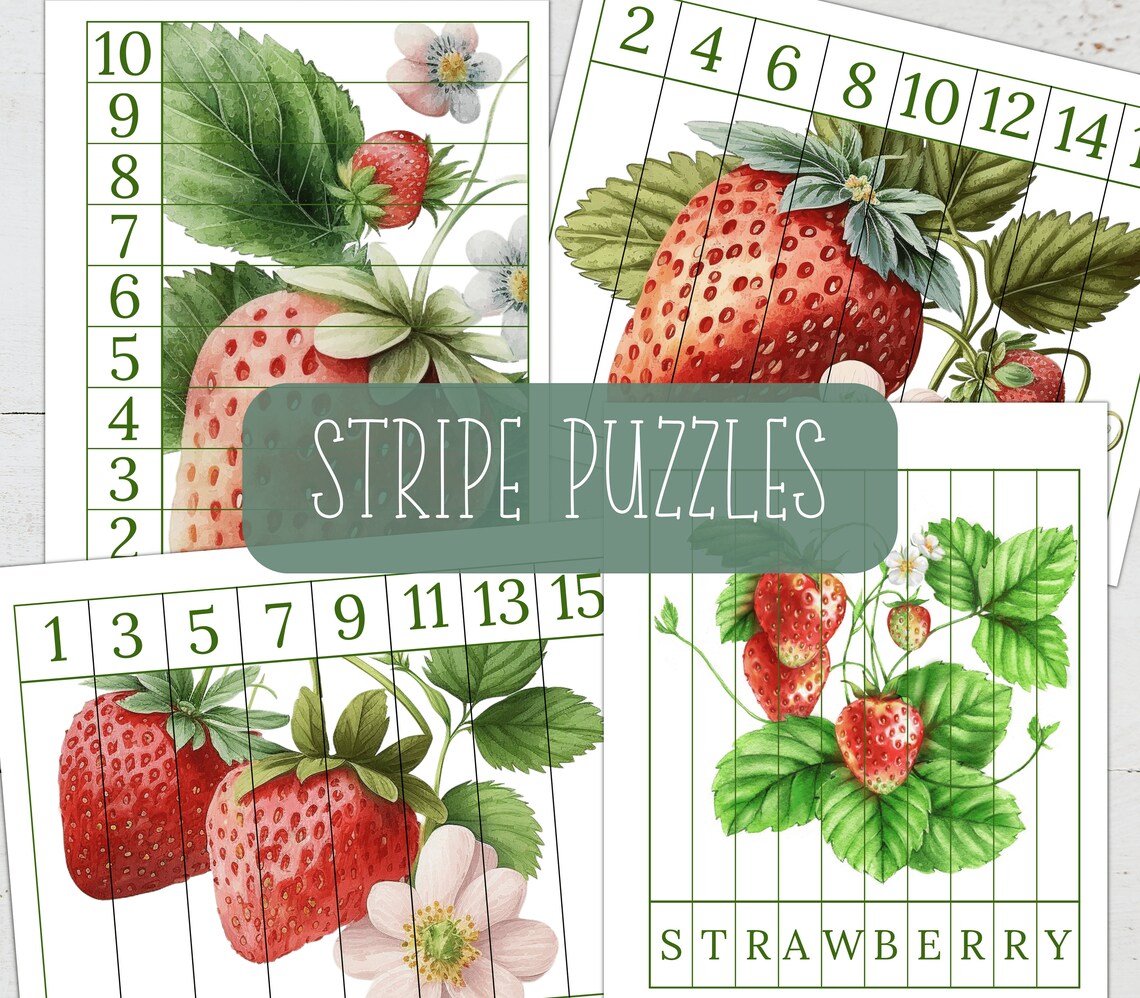 STRAWBERRIES Unit Study, Life Cycle, Anatomy, Nature Study, Science ...