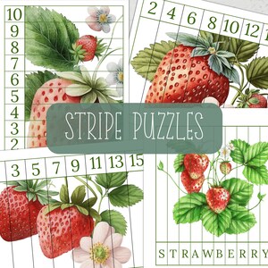 STRAWBERRIES Unit Study, Life Cycle, Anatomy, Nature Study, Science ...