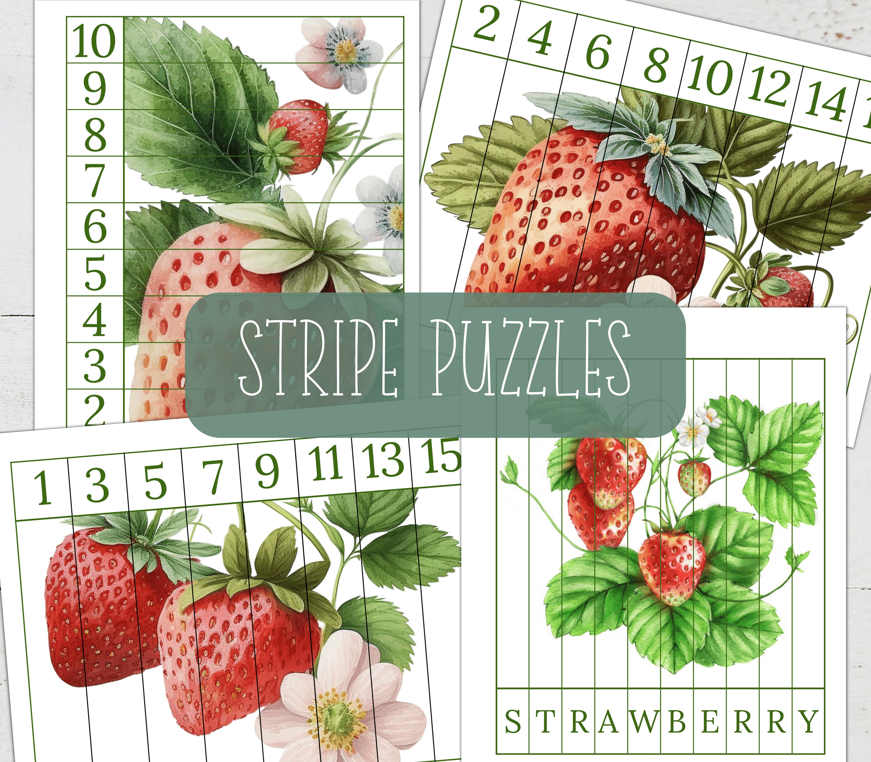 STRAWBERRIES Unit Study, Life Cycle, Anatomy, Nature Study, Science ...
