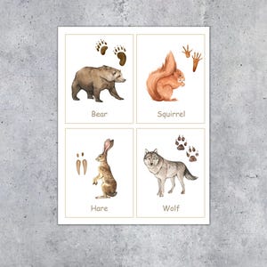 WOODLAND ANIMALS Tracks, Flashcards and Matching Activities, Instant ...