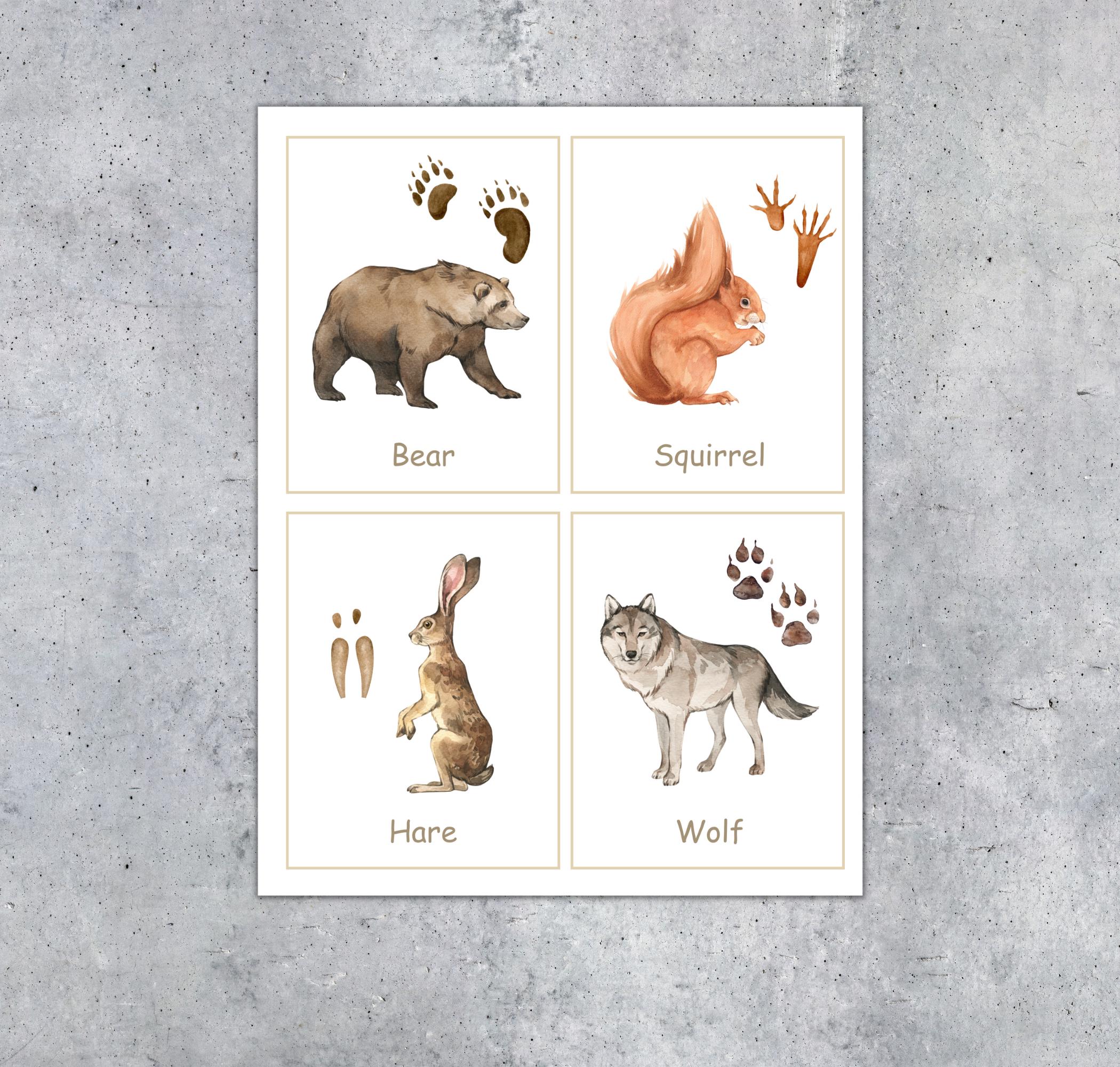 WOODLAND ANIMALS Tracks, Flashcards and Matching Activities, Instant ...