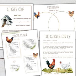 Chicken Unit Study , Life Cycle, Anatomy, DIGITAL DOWNLOAD - Etsy