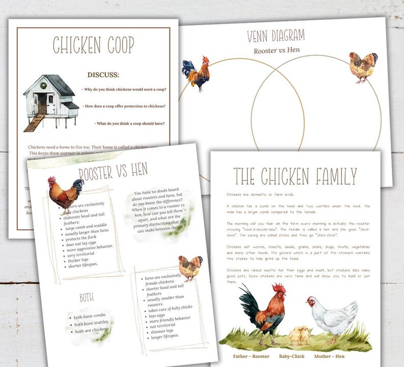 Chicken Unit Study , Life Cycle, Anatomy, DIGITAL DOWNLOAD - Etsy