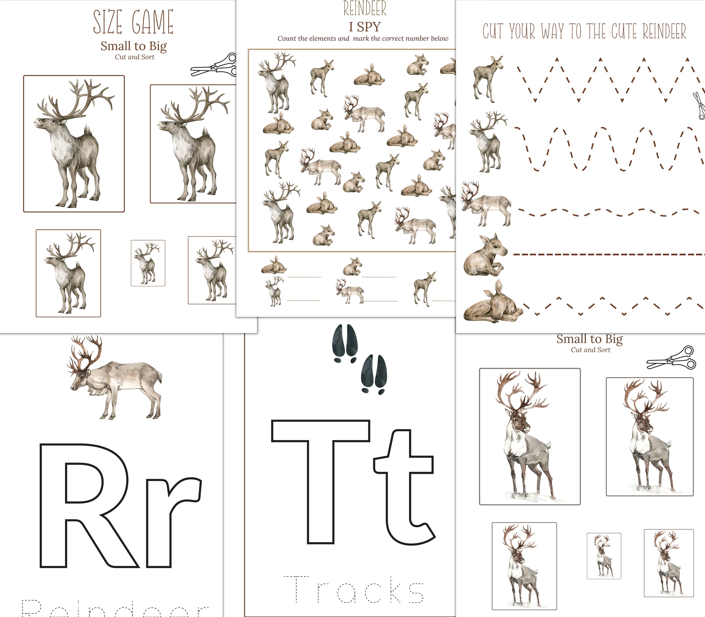 Reindeer Unit Study: Homeschool Science, Anatomy, Life Cycle (instant ...