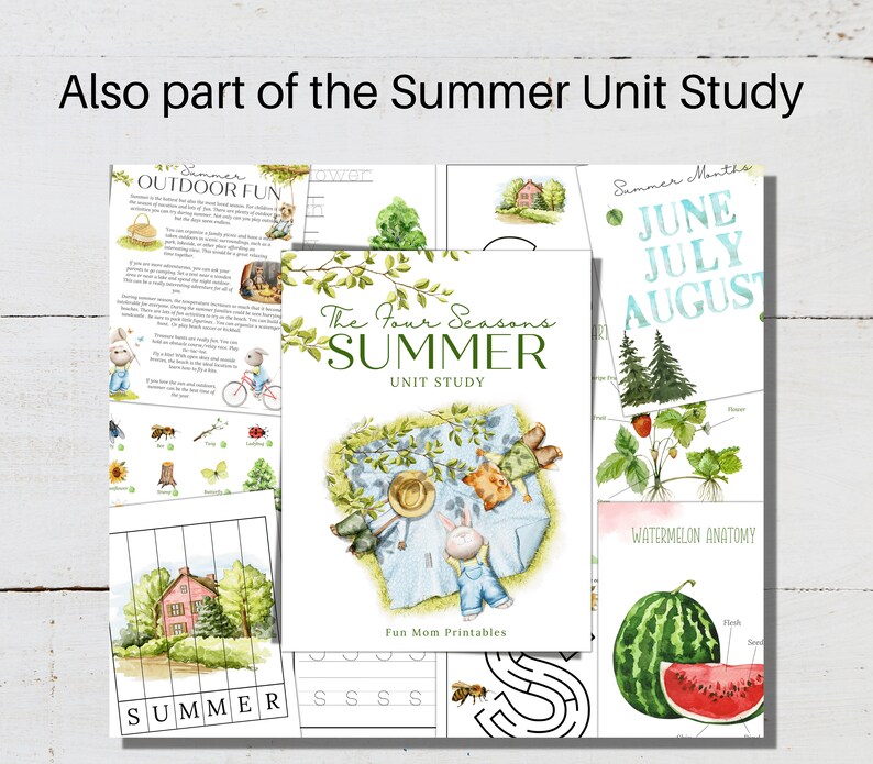 Minibeast 3 Part Cards and Miniposter Bugs Insects Nature - Etsy