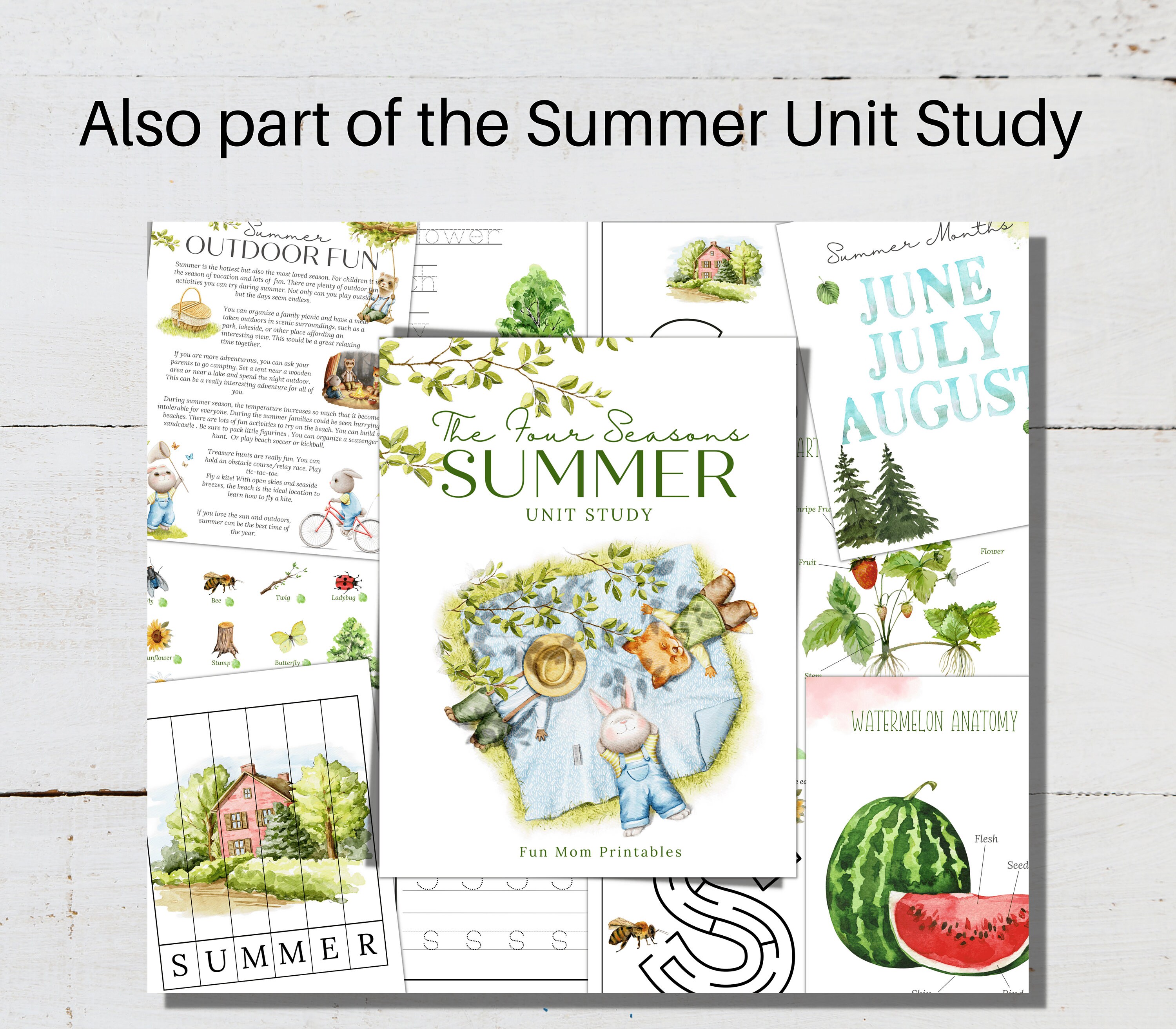 Minibeast 3 Part Cards and Miniposter Bugs Insects Nature - Etsy