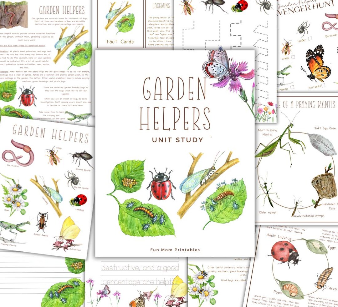 Garden Helpers Unit Study: Insect Anatomy & Life Cycle (digital ...