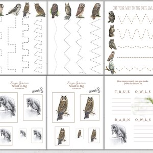 Owls Unit Study: Life Cycle, Anatomy, Homeschool Printable (INSTANT ...