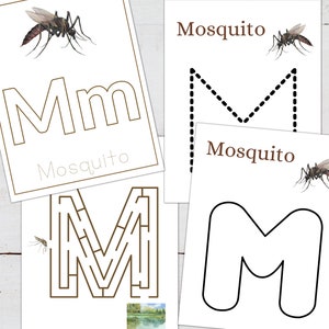 MOSQUITO Unit Study, Life Cycle, Anatomy, Nature Study, Science ...