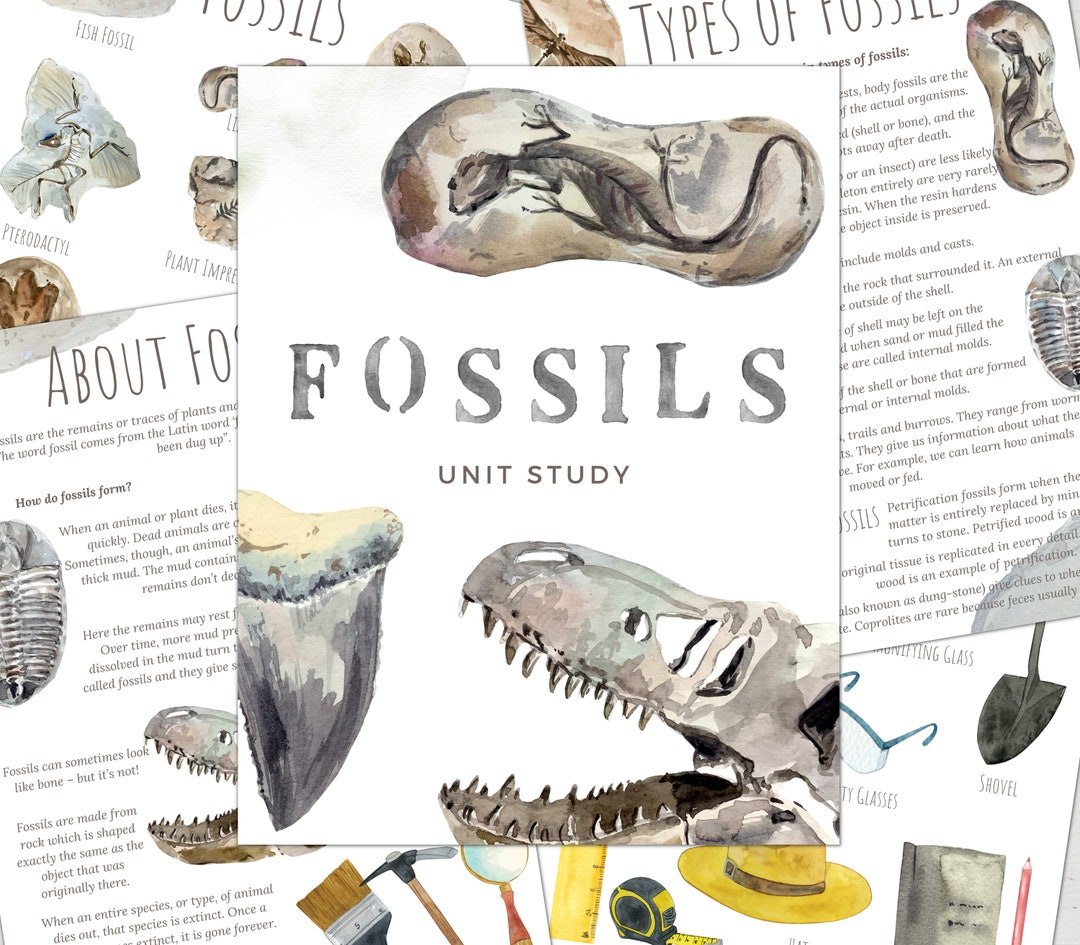 FOSSILS Unit Study, Anatomy, Nature Study, Science, Handwriting ...