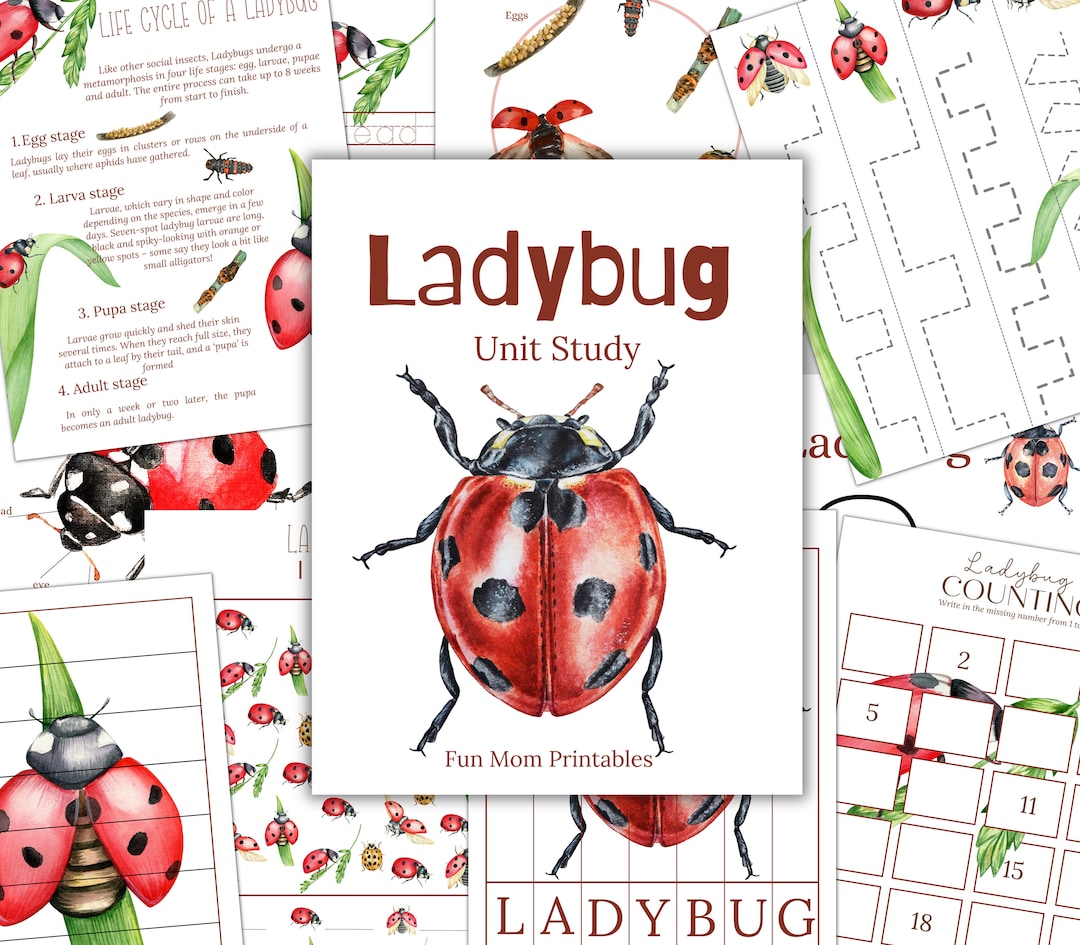 LADYBUGS Unit Study, Nature Study, Ladybug Activities, Science ...