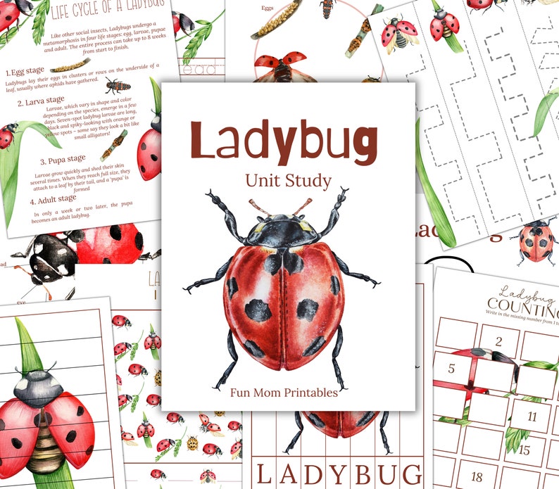 LADYBUGS Unit Study, Nature Study, Ladybug Activities, Science ...