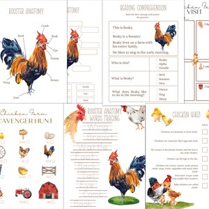 Chicken Unit Study , Life Cycle, Anatomy, DIGITAL DOWNLOAD - Etsy