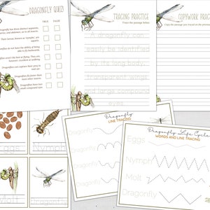 DRAGONFLY Unit Study, Life Cycle, Anatomy, Nature Study, Science ...