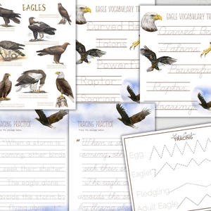 Eagles Unit Study: Life Cycle, Anatomy, Homeschool Printable (instant ...