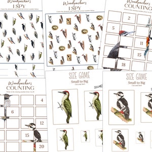 Woodpeckers Unit Study: Life Cycle, Anatomy, Homeschool Printable ...