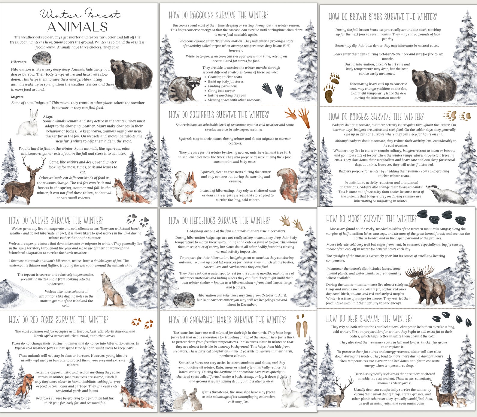 WINTER FOREST ANIMALS Unit Study Anatomy Nature Study - Etsy