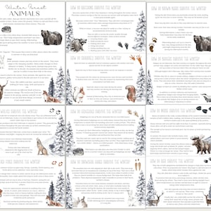 WINTER FOREST ANIMALS Unit Study, Anatomy, Nature Study, Science ...