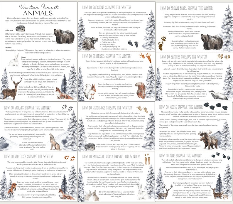 Winter Forest Animals Unit Study: Homeschool Printable (instant ...