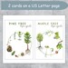 Life Cycle Printable 5x7" Flashcards. Montessori, Instant Download - Etsy