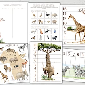 African SAVANNA Unit Study, Life Cycle, Anatomy, Nature Study, Science ...