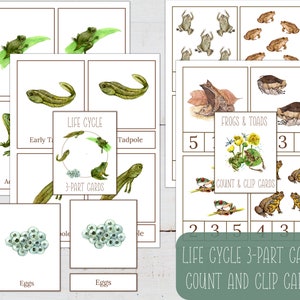 FROG Unit Study, Life Cycle, Anatomy, Nature Study, Science ...