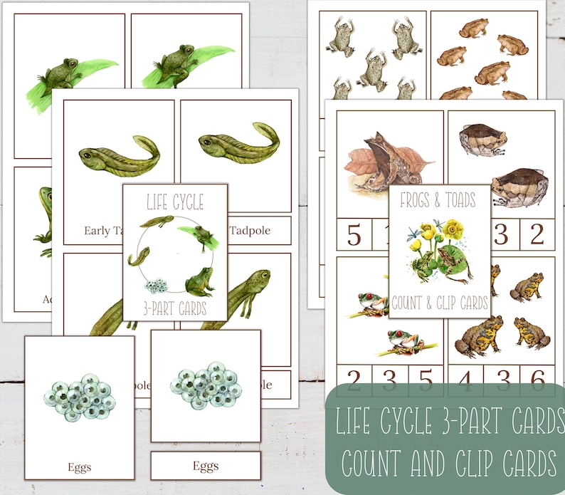 FROG Unit Study, Life Cycle, Anatomy, Nature Study, Science ...
