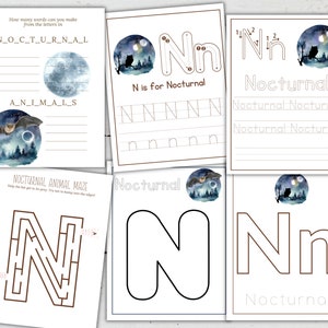 Nocturnal Animals Unit Study: Anatomy, Life Cycle, & Handwriting ...