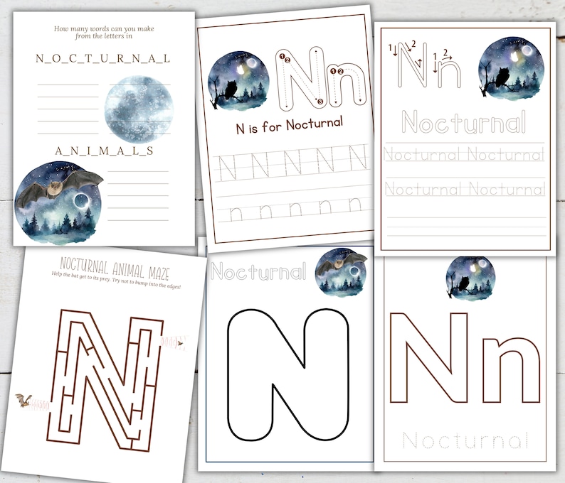 Nocturnal Animals Unit Study: Anatomy, Life Cycle, & Handwriting ...