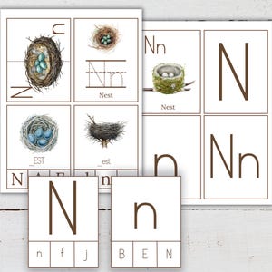 LETTER of the WEEK, N is for Nest, Letter N Activities, Alphabet ...