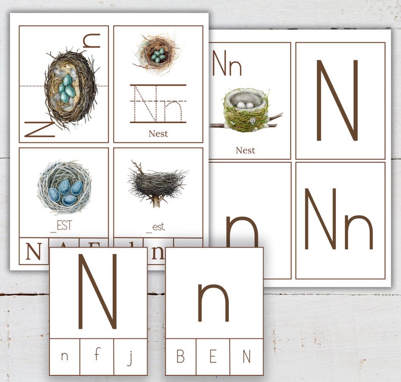 Letter N is for Nest: Alphabet Learning Printable (digital Download) - Etsy