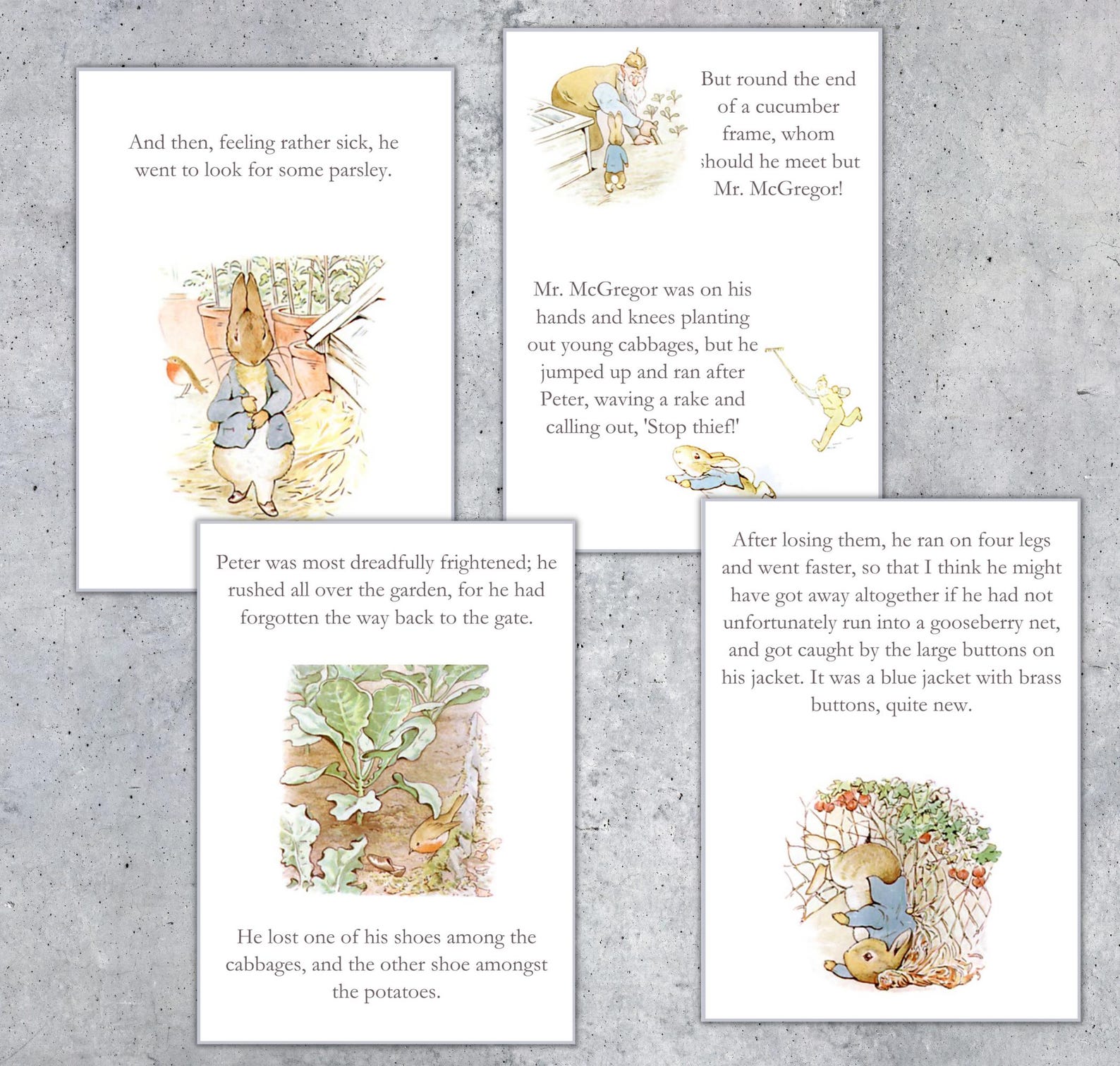 PETTER RABBIT Story Telling Flashcards, 5x7" Cards, Printable, Instant ...