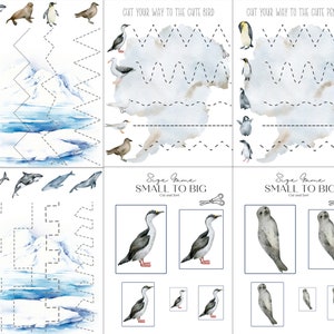 ANTARCTIC ANIMALS Unit Study, Life Cycle, Anatomy, Nature Study ...