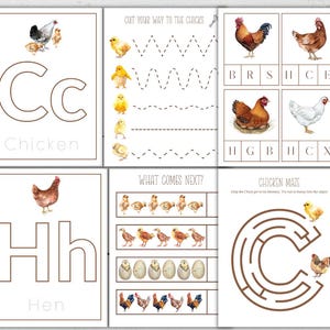 Chicken Unit Study , Life Cycle, Anatomy, DIGITAL DOWNLOAD - Etsy