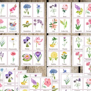 FLOWERS Mini Study Unit Life Cycle Anatomy Science - Etsy