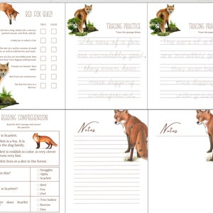 Red Fox Unit Study: Life Cycle, Anatomy, Homeschool Printable (instant ...