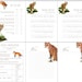 RED FOX Unit Study, Life Cycle, Anatomy, Nature Study, Science ...